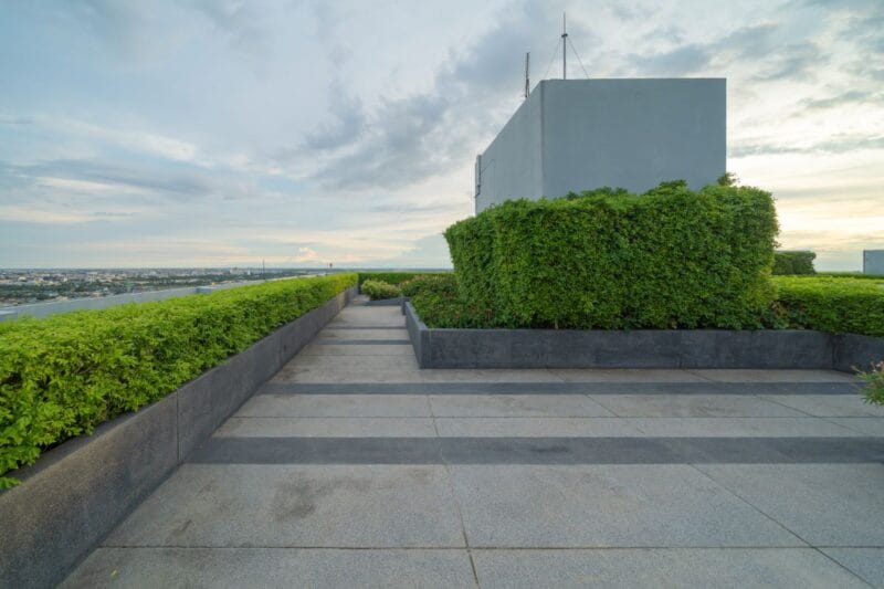 5 Razones Para Tener Una Azotea Verde En Tu Edificio