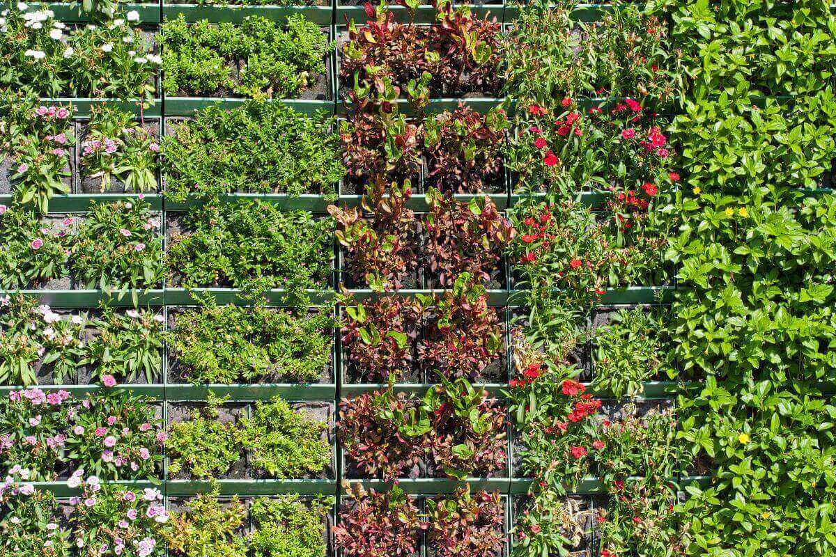 Tipos de Muros Verdes: Cómo elegir el Sistema Ideal